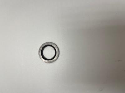 06566310106 | International N13 Engine Seal for Sale