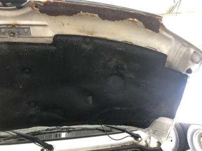 Dodge SPRINTER Hood for Sale