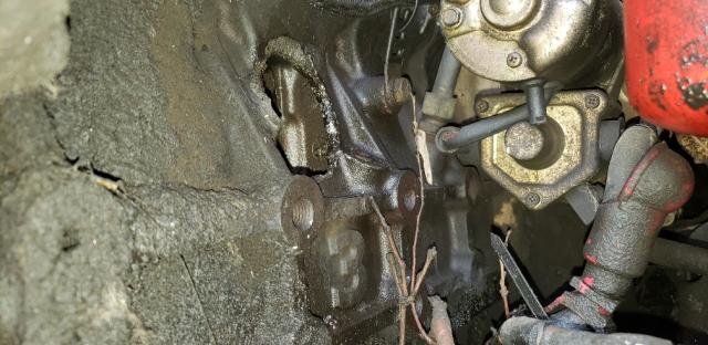 CAT 3034 Engine Assembly for Sale