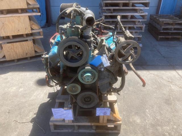 International 549 GAS Engine Assembly for Sale