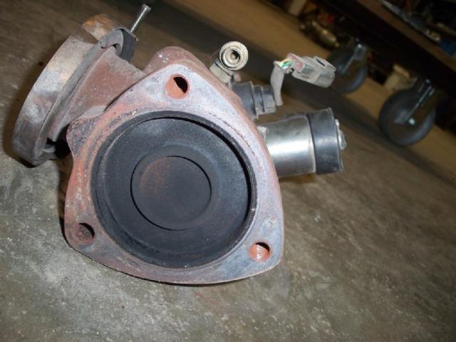 4955421 | Cummins ISM EGR Valve for Sale