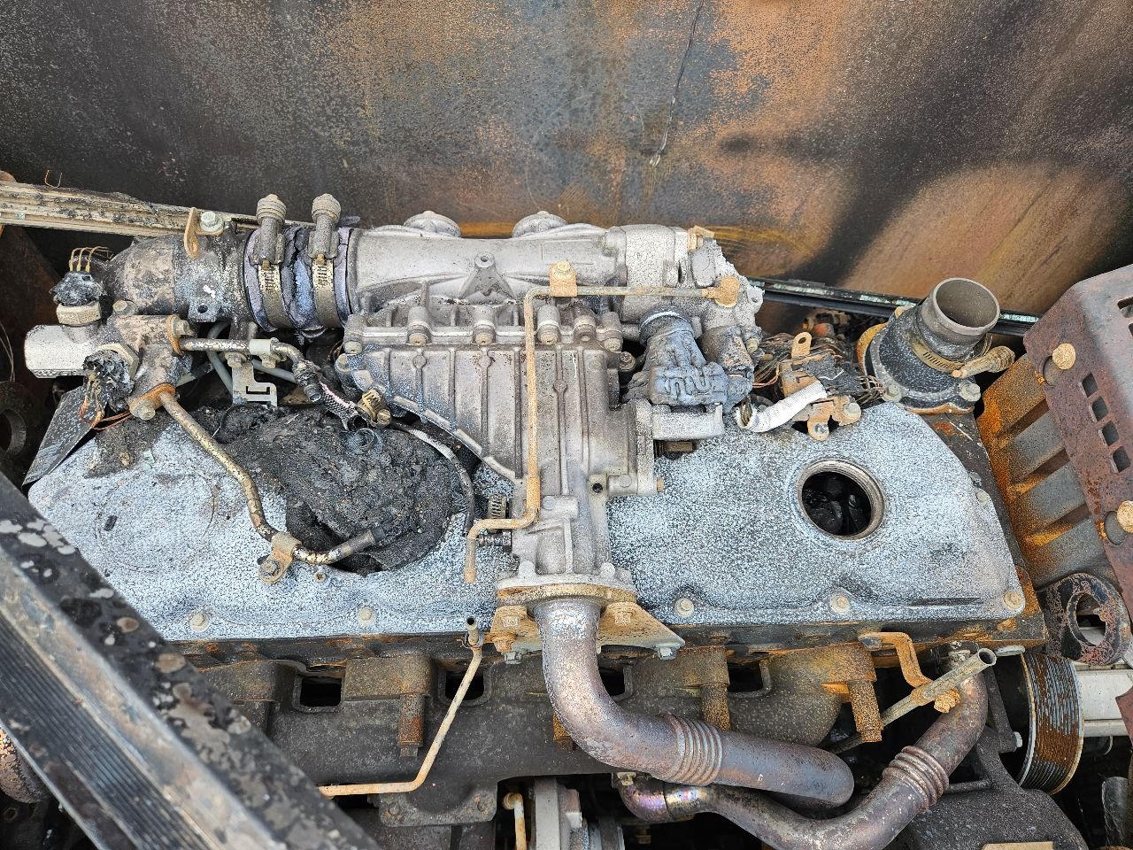 CAT C6.6 Engine Assembly for Sale
