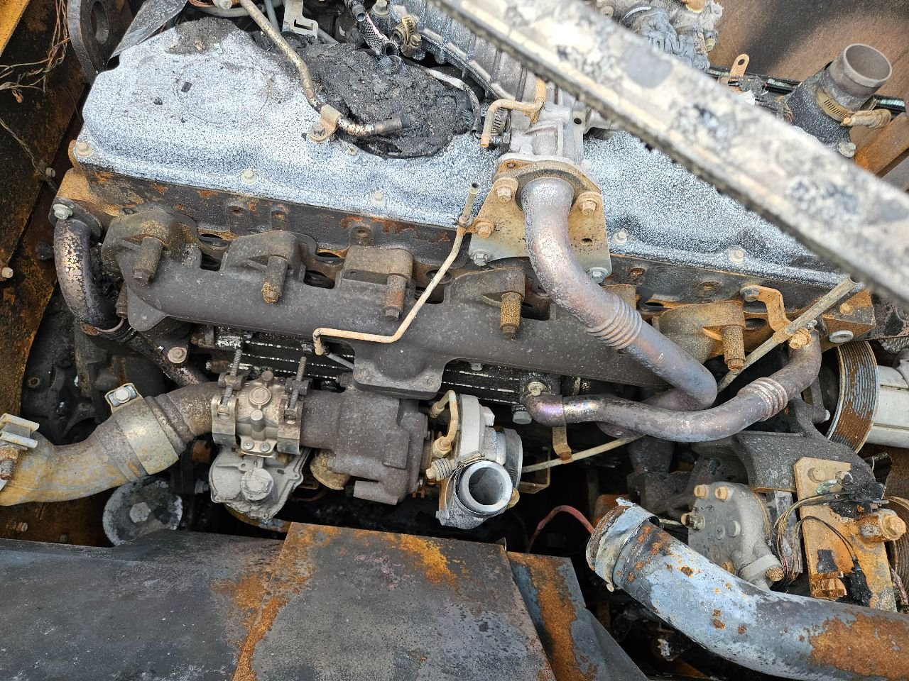 CAT C6.6 Engine Assembly for Sale