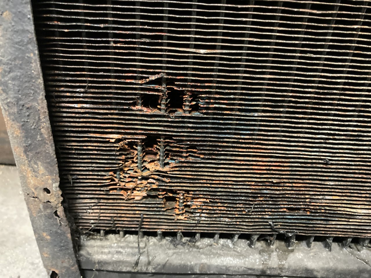 Case W36 Radiator for Sale